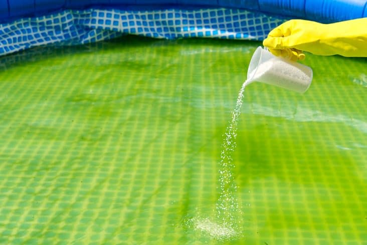 How To Clean Mold Off Inflatable Pool | HandyHabits