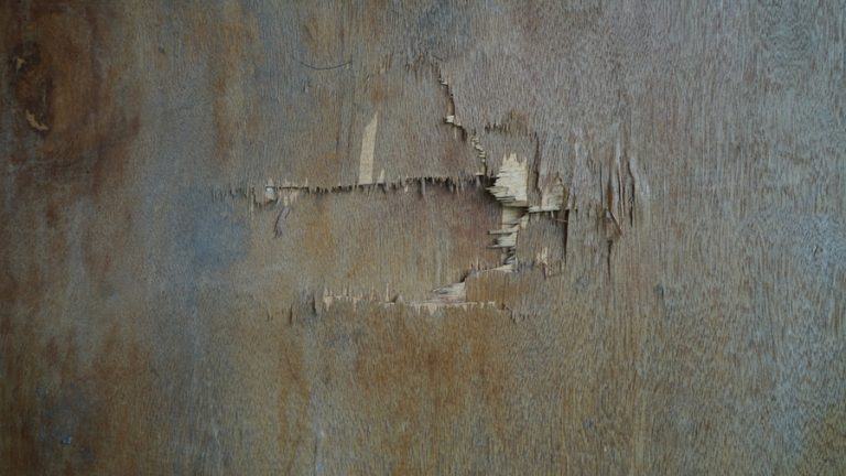 Comprehensive Guide to Preventing Plywood Delamination | HandyHabits